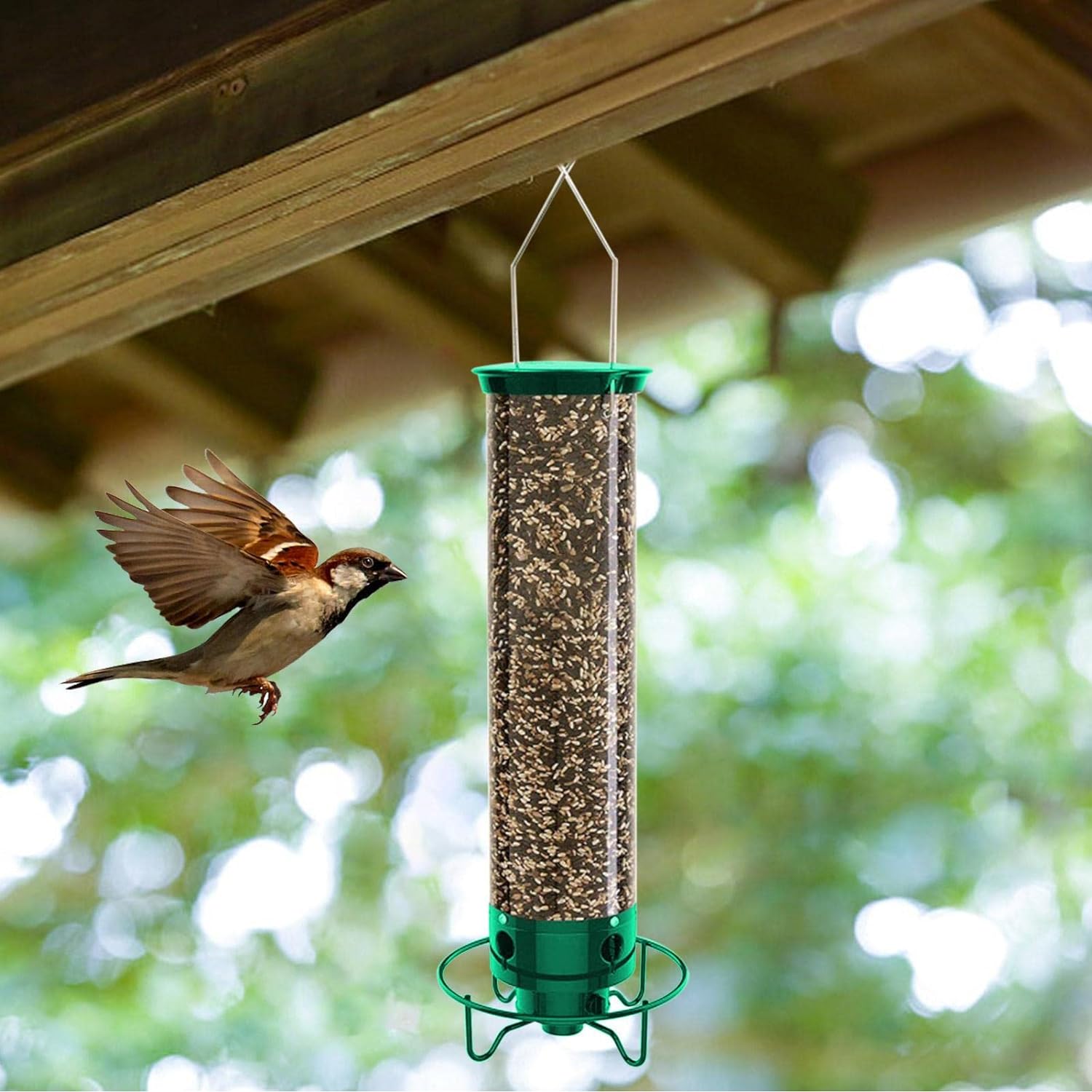 Anti-Squirrel Bird Feeder – Mclows